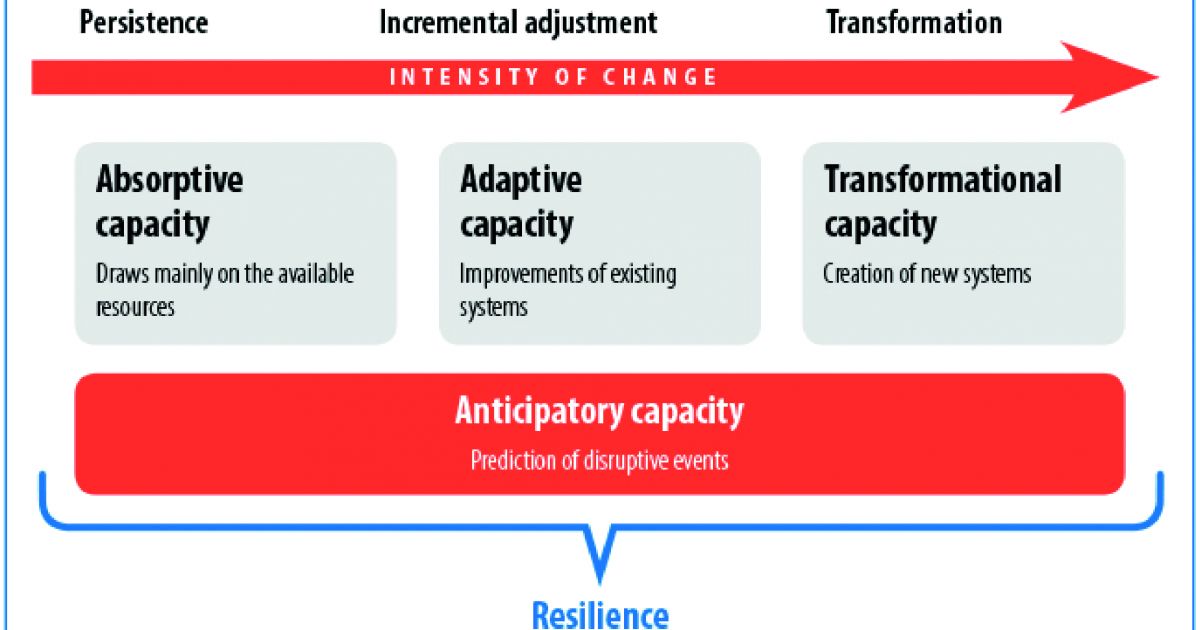 The continuum of resilience capacities | Asia-Pacific SDG Partnership